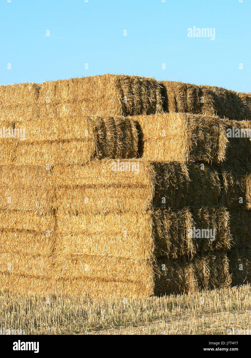 big stack straw bales Stock Photo - Alamy