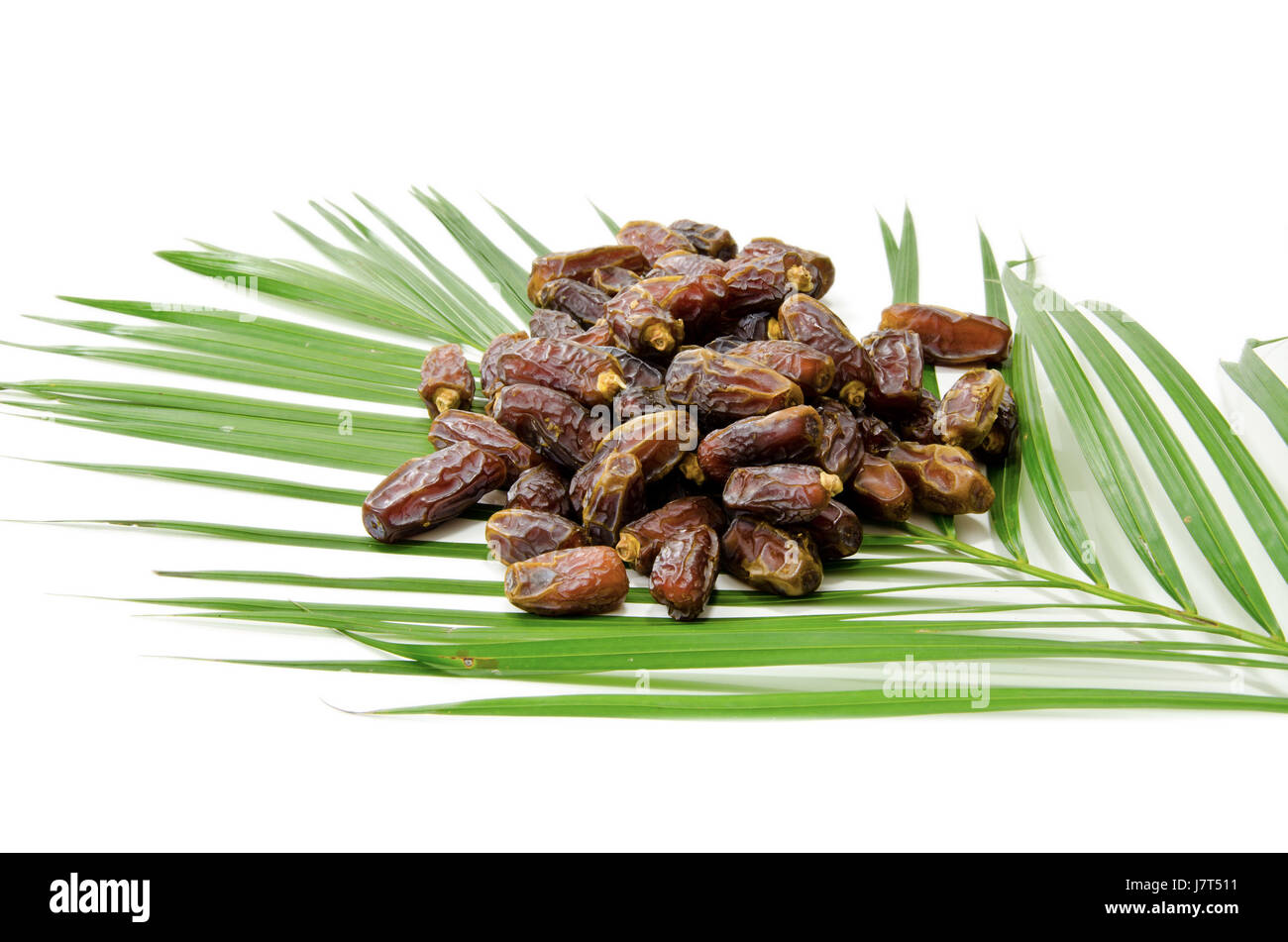 food aliment leaf tree fruit dates palm lawn green eating eat eats food ...