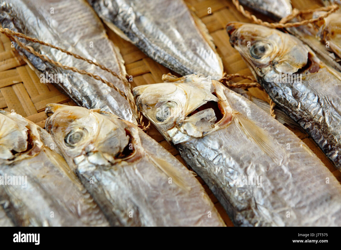 food aliment inside isolated stone fish rock traditional fishing dry ...