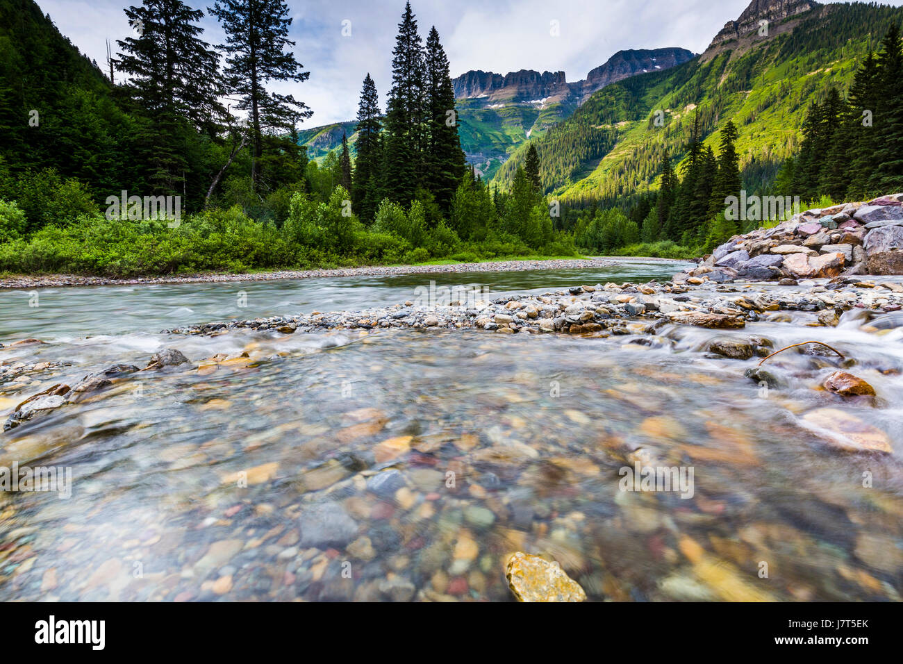 stream chute water rocks waterfall glacier national park flow Stock ...