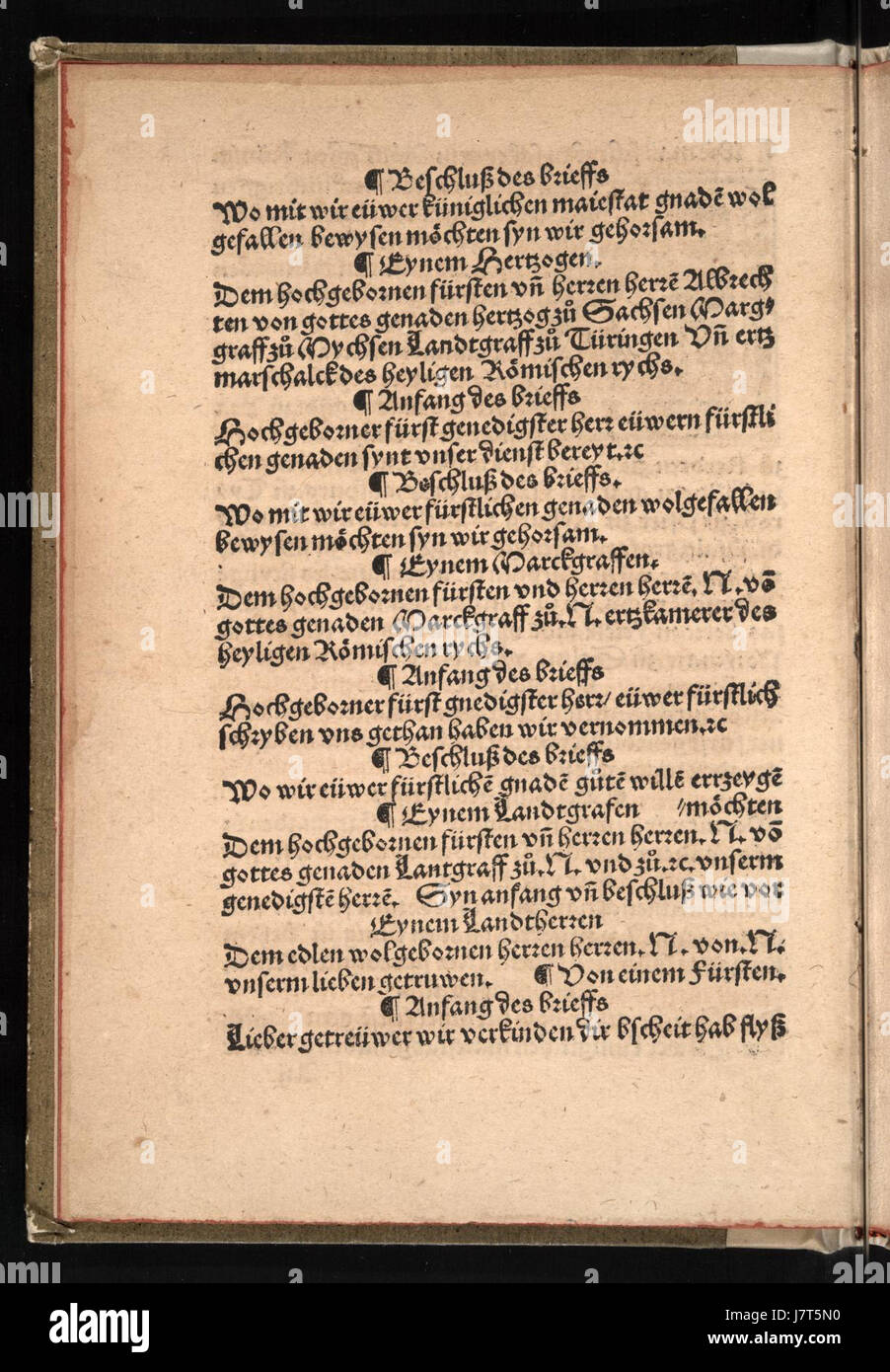 This image likely depicts the work of Biechlin, possibly a notable ...