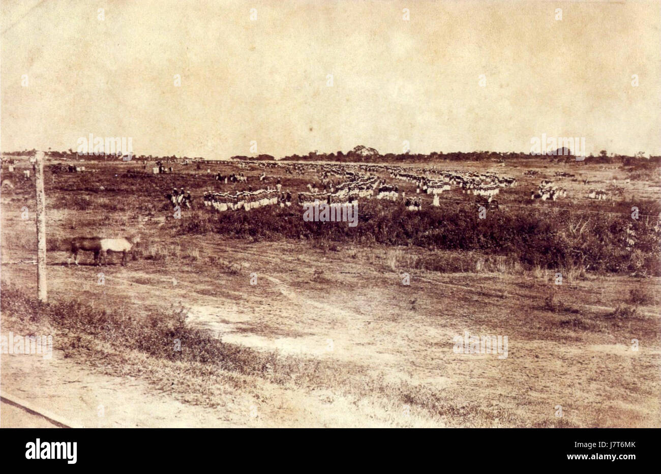 The Brazilian army in Paraguay was involved in the Paraguayan War (1864 ...
