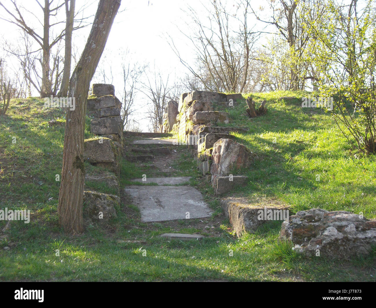 Is a public park known for its green spaces hi-res stock photography ...