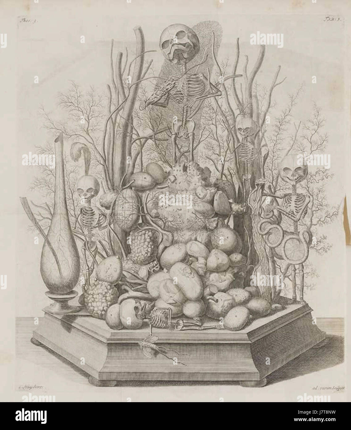 The *Vanitas Diorama*, created by Cornelius Huyberts in 1721, is a ...