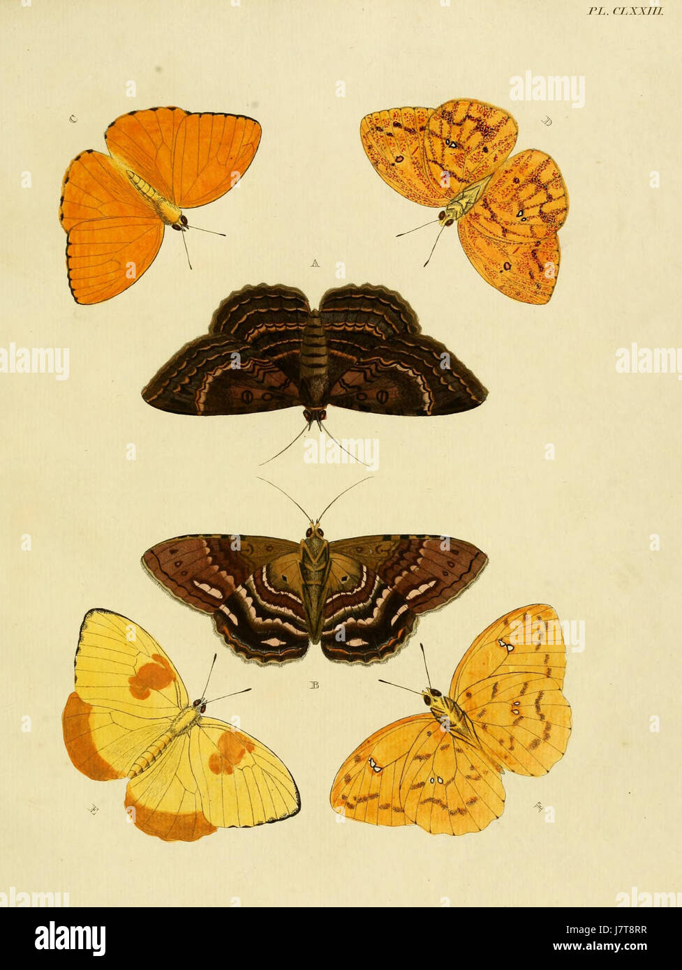 The 'Uitlandsche Kapellen' by Cramer and Stoll is a detailed work ...