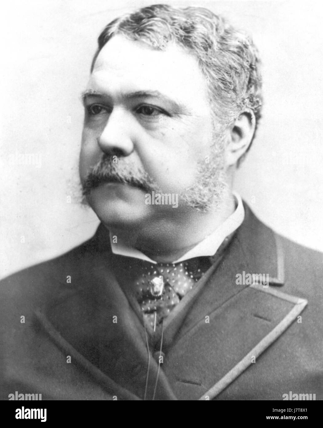 A portrait of Chester A. Arthur, the 21st President of the United ...