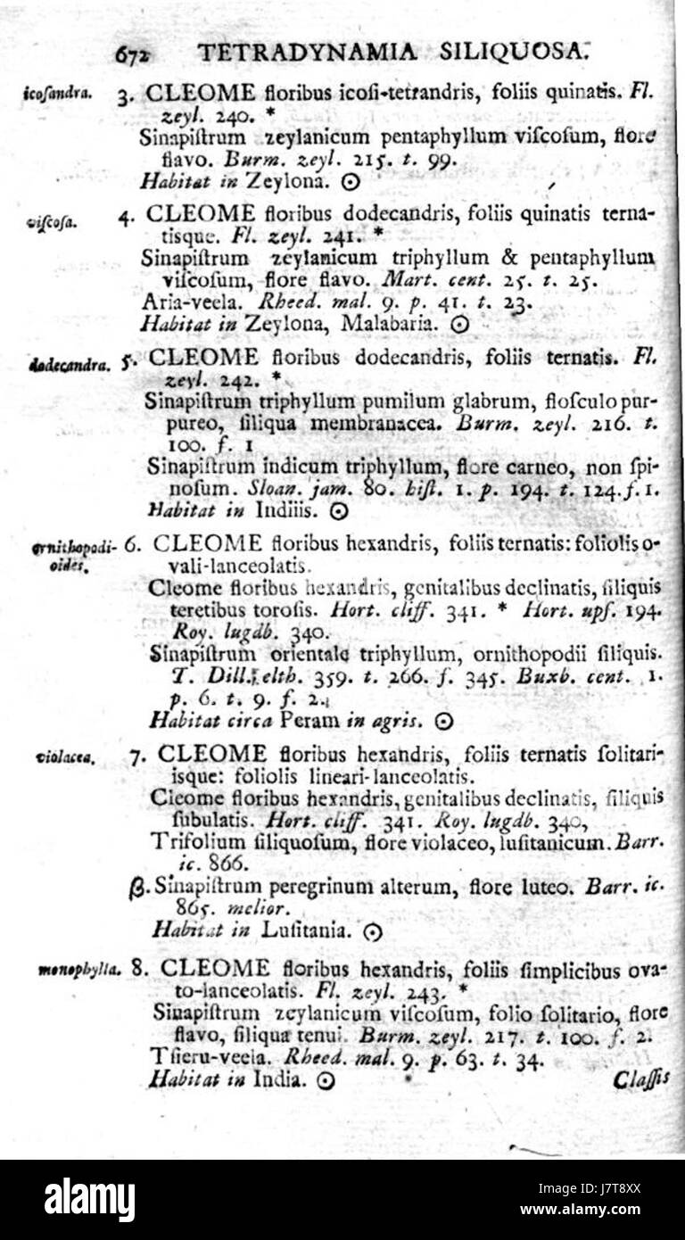 Detailing botanical characteristics Black and White Stock Photos ...