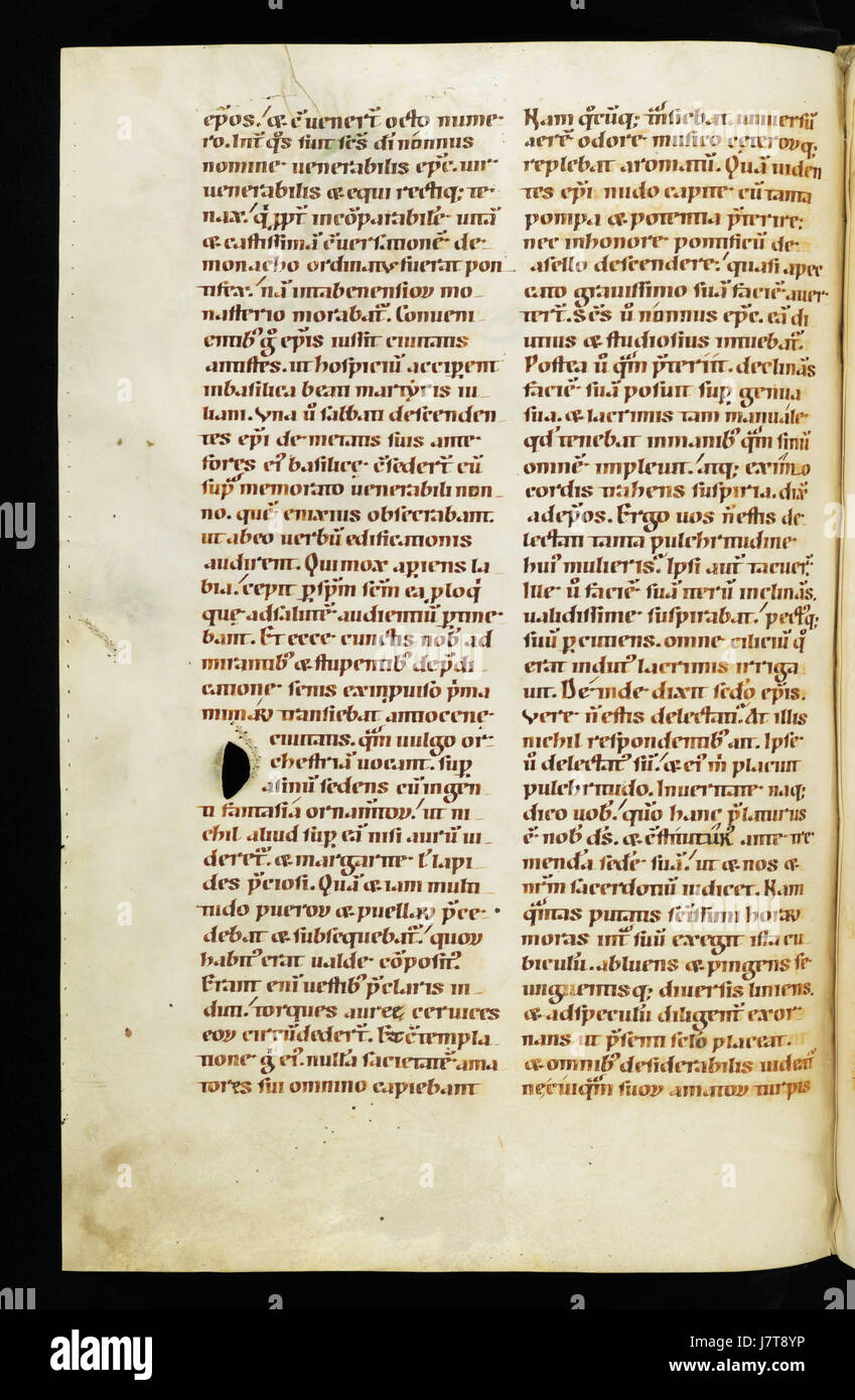 The Codex Bodmer 127 231v is part of the Bodmer manuscript collection ...