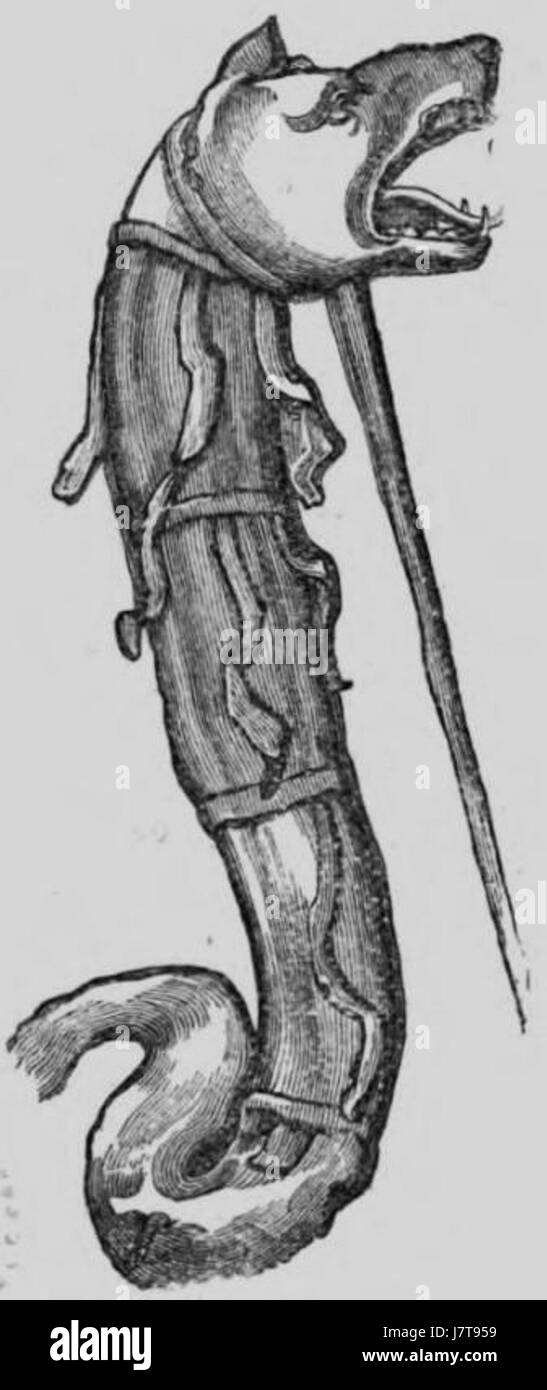 The Dacian Draco, a symbol of Dacian culture, was featured on a coin ...