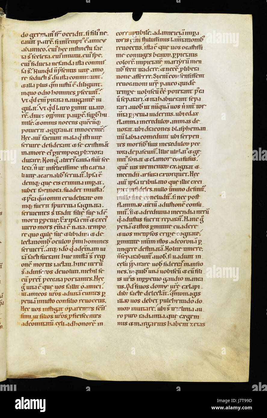 The Codex Bodmer 127 is a medieval manuscript that contains significant ...