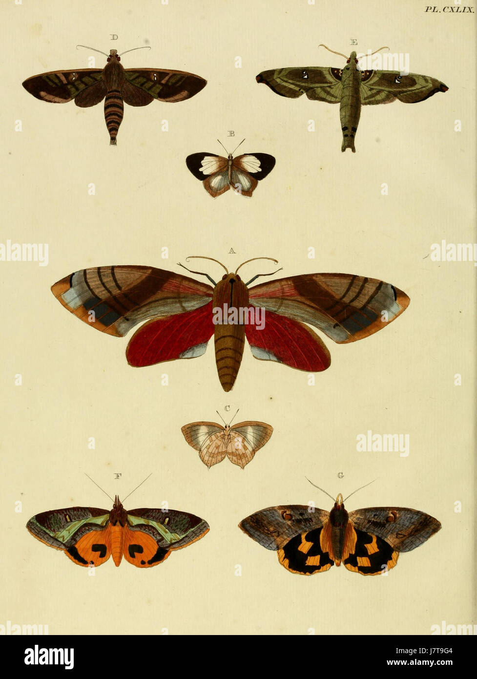 'Uitlandsche Kapellen' is a publication by Cramer and Stoll, showcasing ...