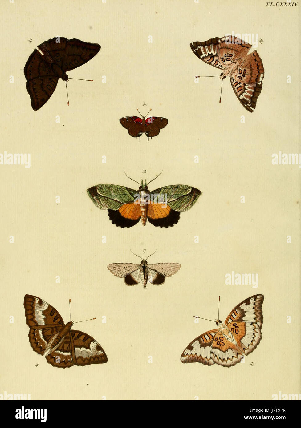 This image is from *Uitlandsche Kapellen* by Cramer and Stoll, volume 2 ...