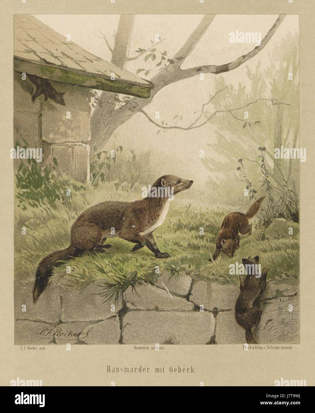 'Deiker Jagdbare Tiere 10932' refers to an illustration or a work ...
