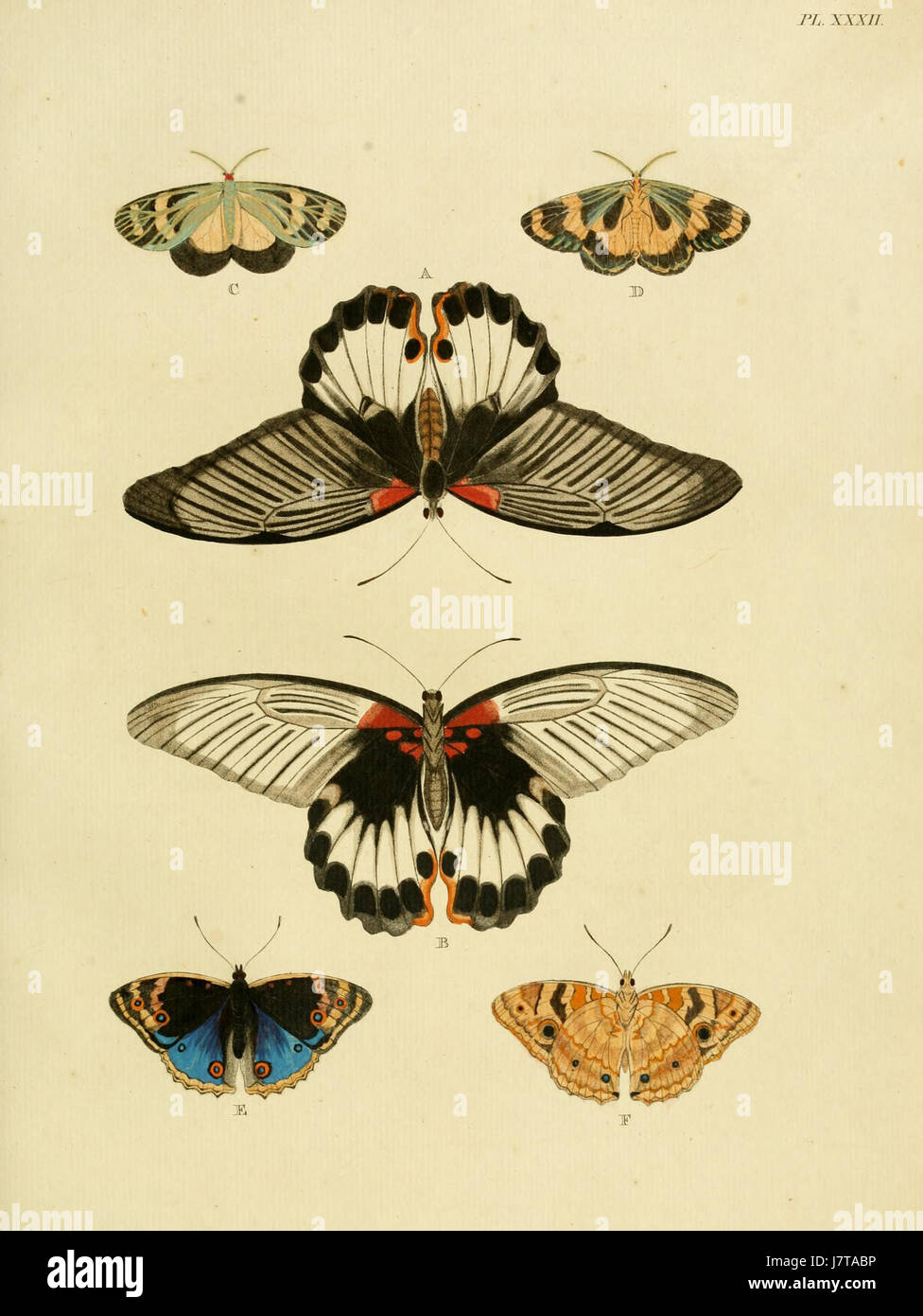 Plate 03 from 'Cramer & Stoll Uitlandsche Kapellen' depicts foreign ...