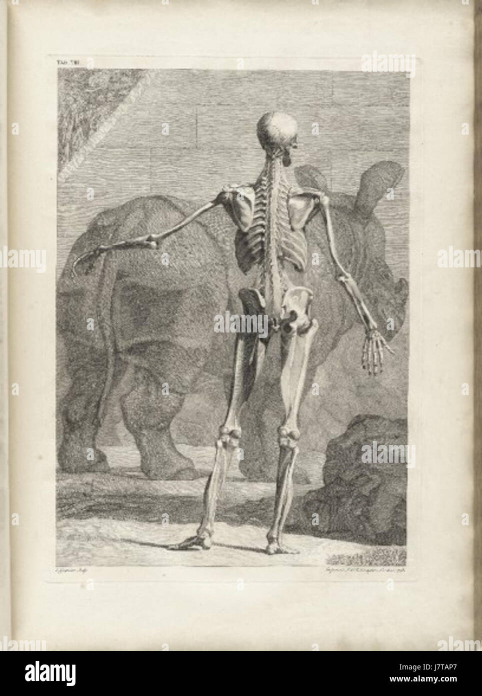 1747 hi-res stock photography and images - Alamy