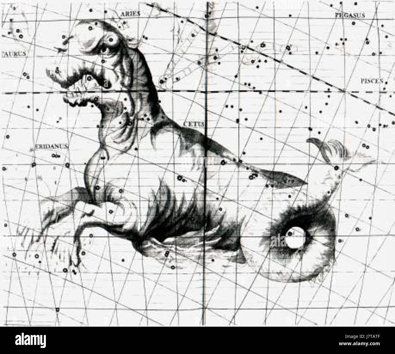Cetus refers to a constellation in the northern sky, often associated ...