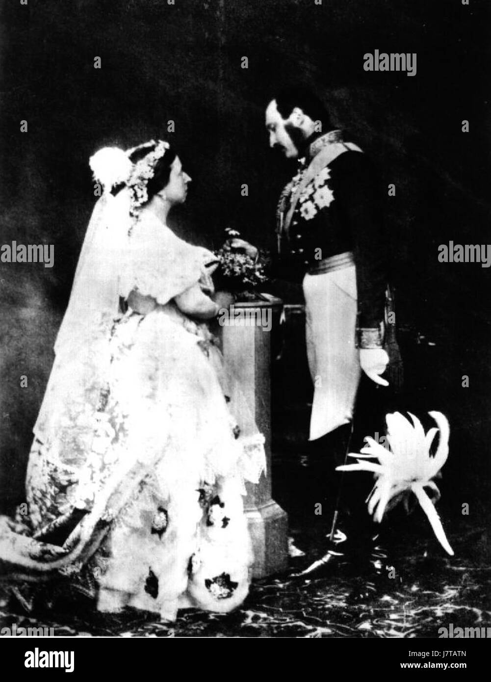 Queen victoria and prince albert hi-res stock photography and images ...