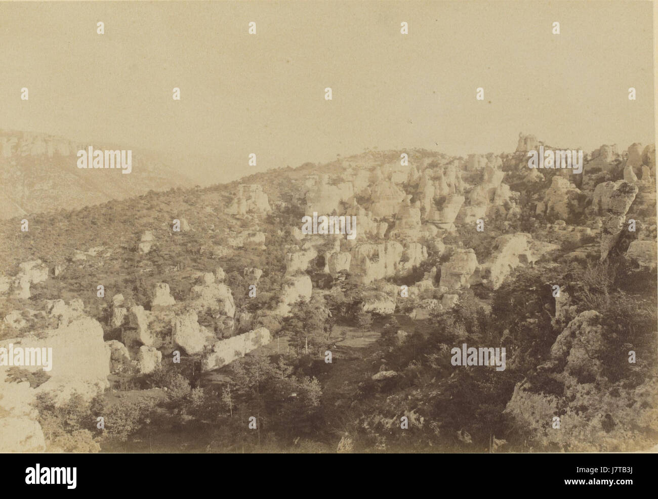 A photograph by James Jackson taken in 1888 depicting Montpellier le ...
