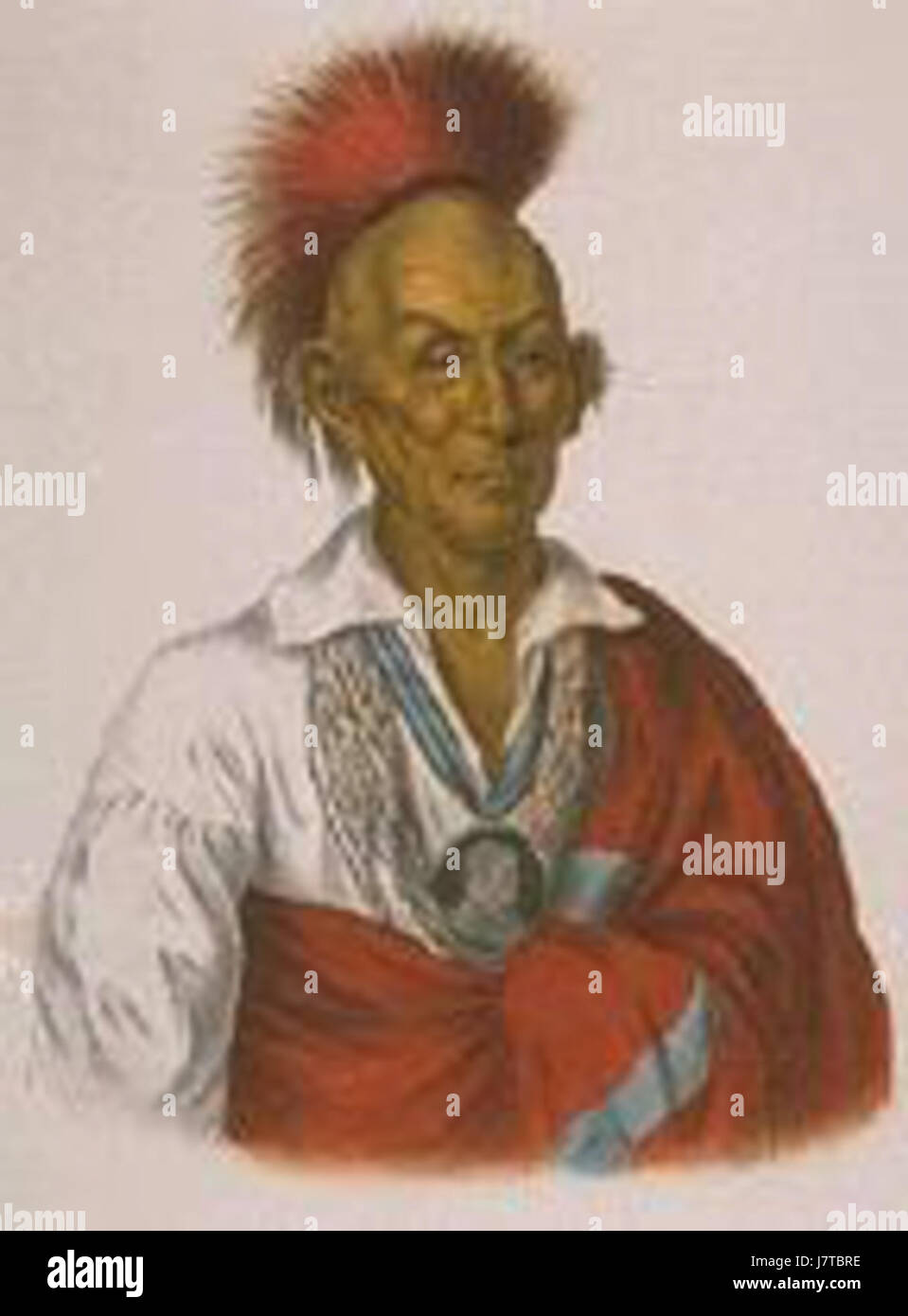 Black Hawk was a leader of the Sauk tribe in the early 19th century. He ...