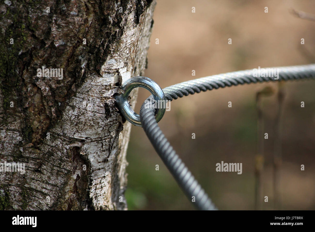 barrier tree wood metal barrier bracket safeguard fortification tense ...