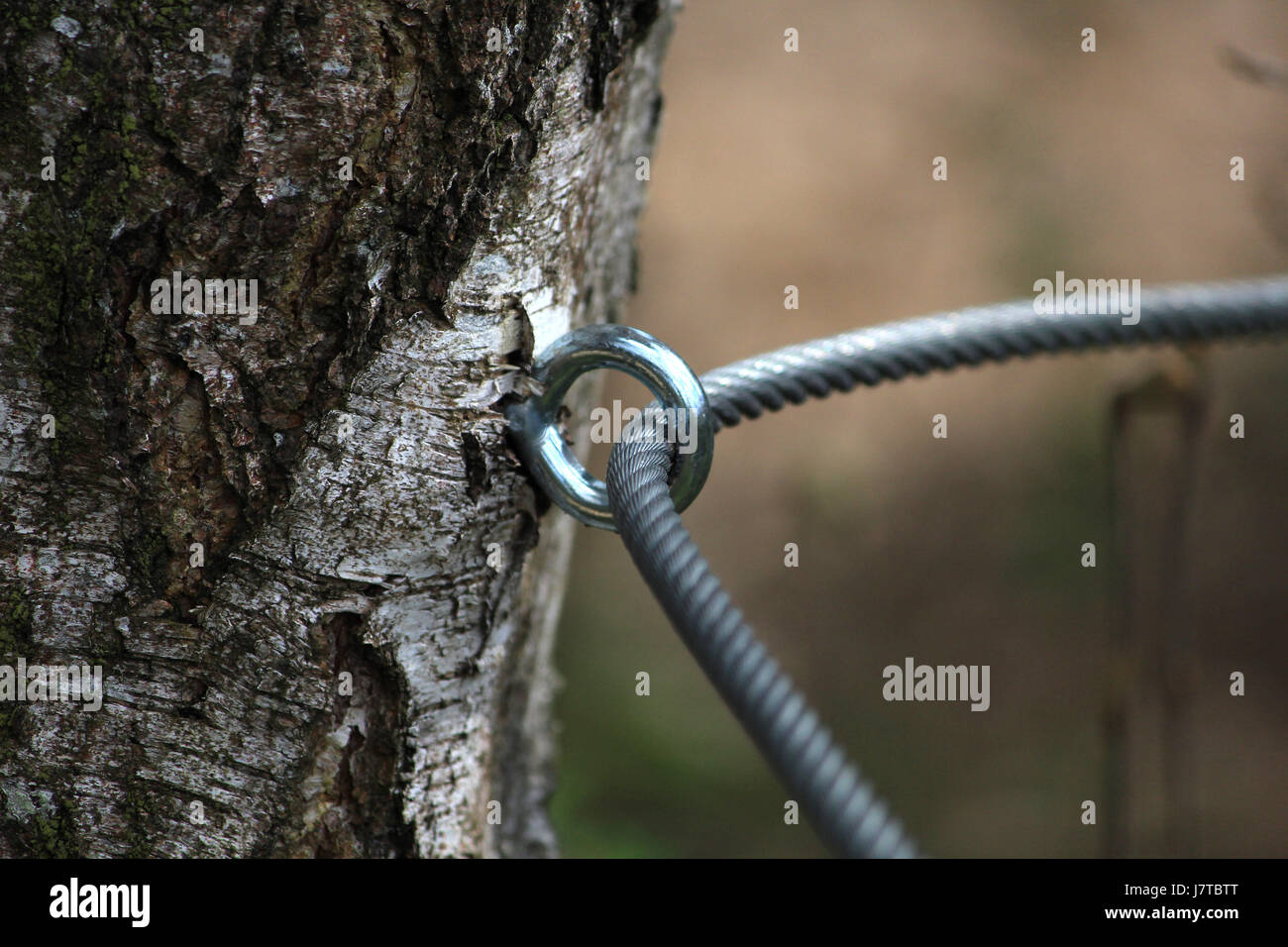 tightrope wire rope rope tree wood metal barrier bracket safeguard ...