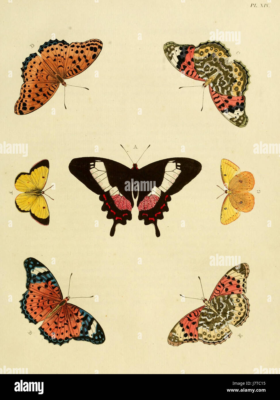 The plate from 'Uitlandsche Kapellen' by Cramer & Stoll features an ...
