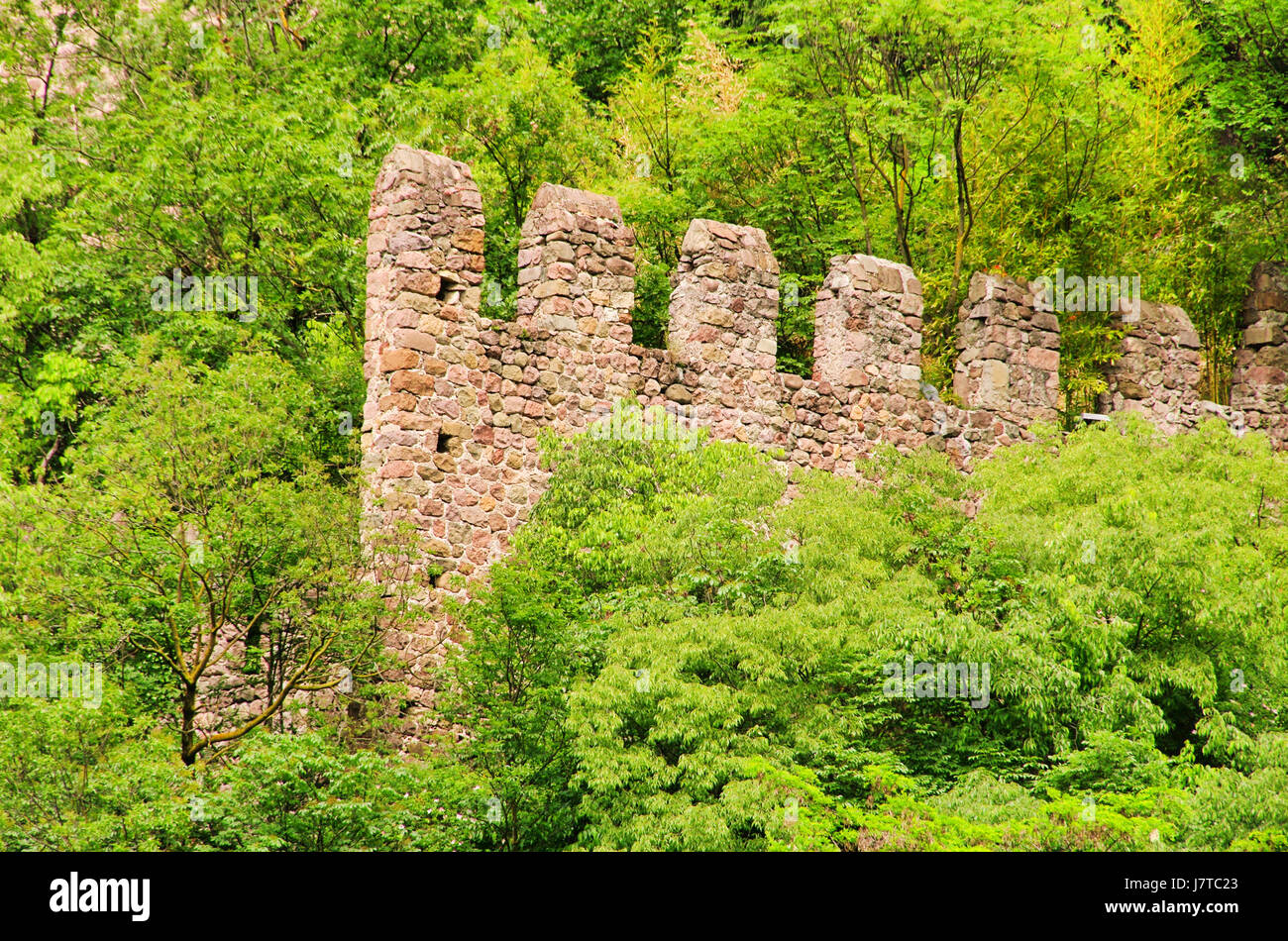 stone wall pinnacle battlement chateau castle detail tree stone green ...