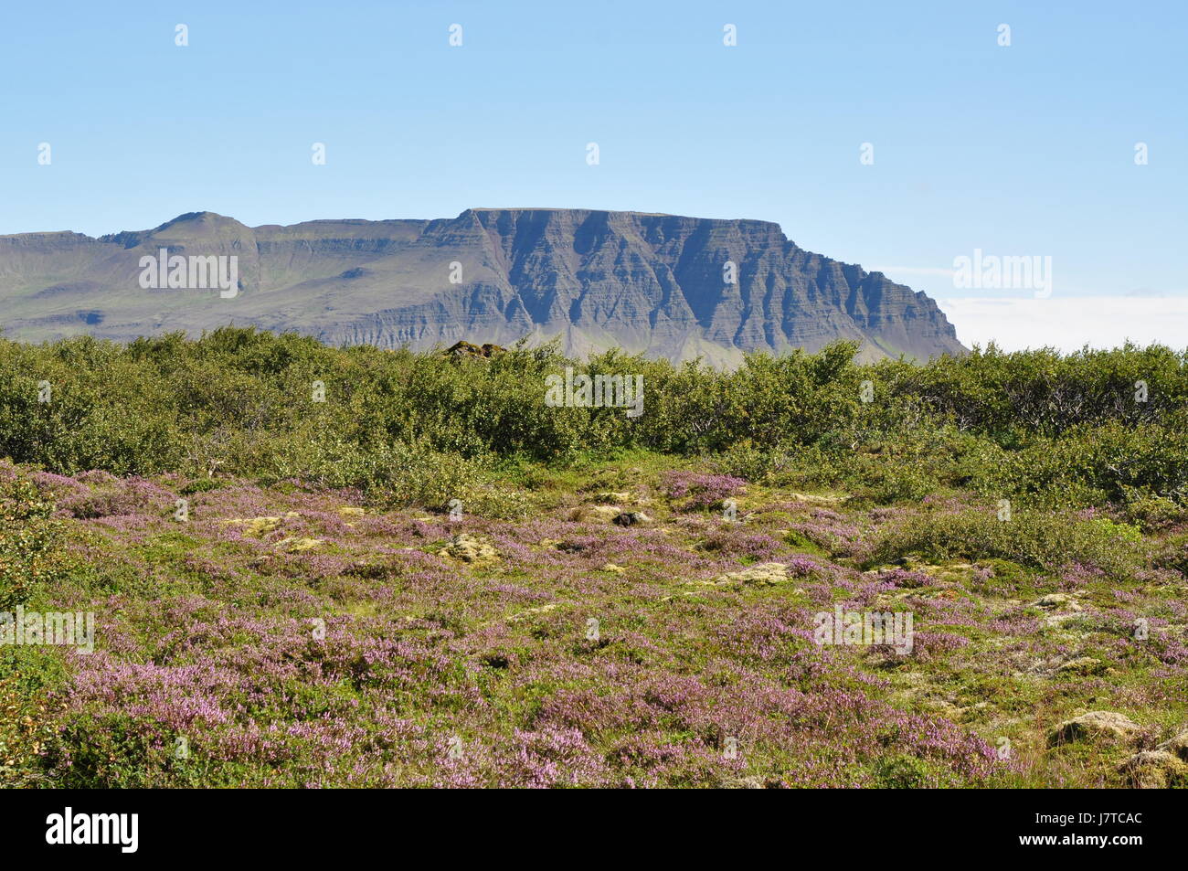 summer summerly width west iceland north scenery countryside nature ...