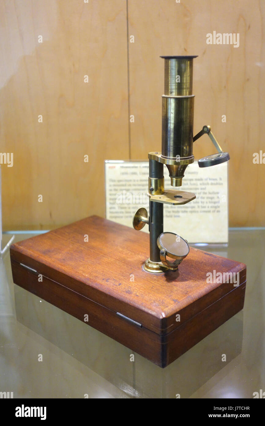A monocular compound brass microscope from 1850-1880, part of the Golub ...