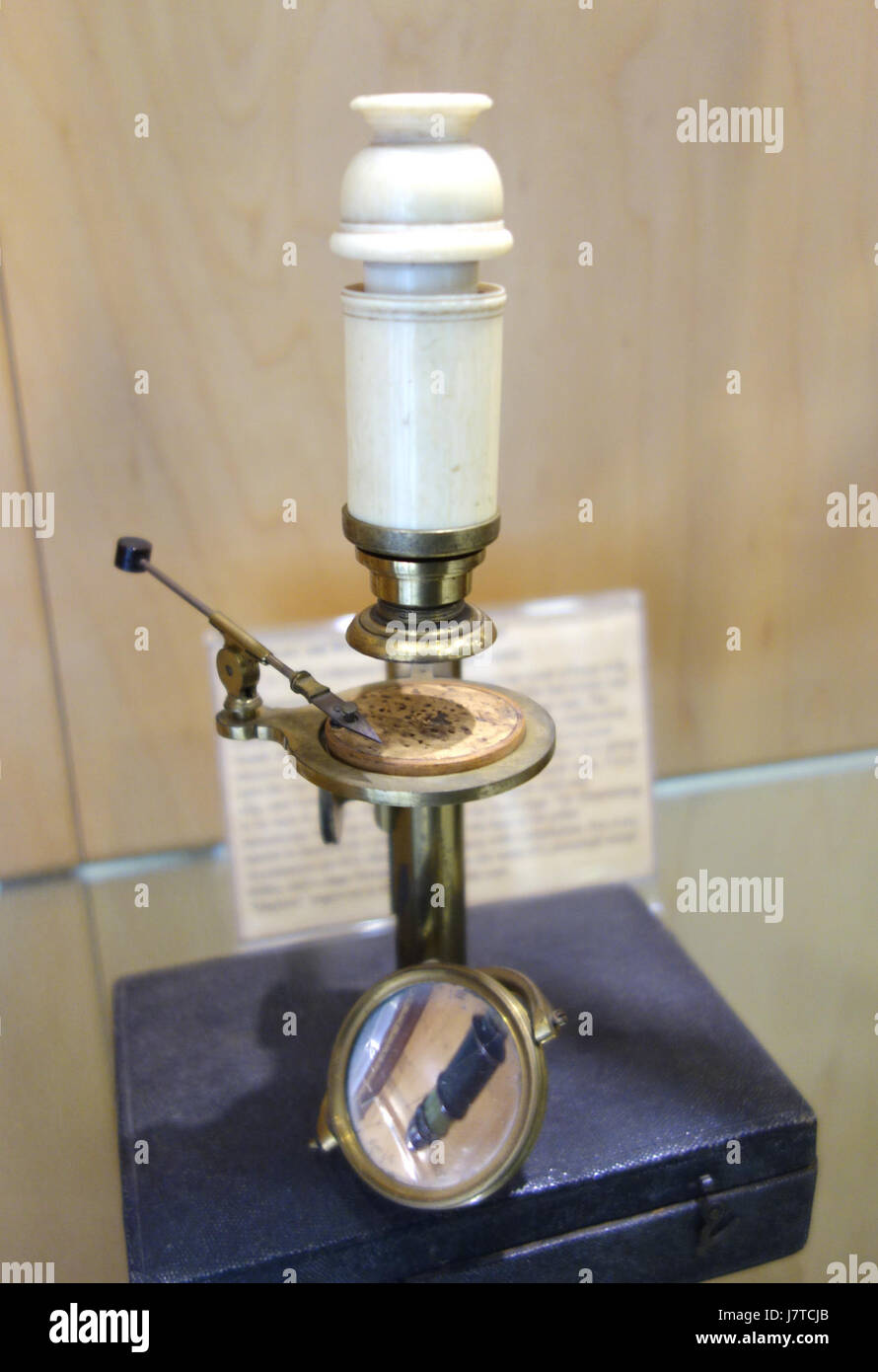 1770 circa, Ivory and brass compound microscope, unknown maker, unknown ...