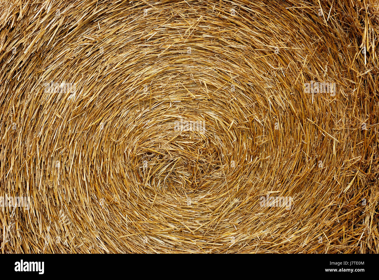 agriculture farming field farmland backdrop background straw ...