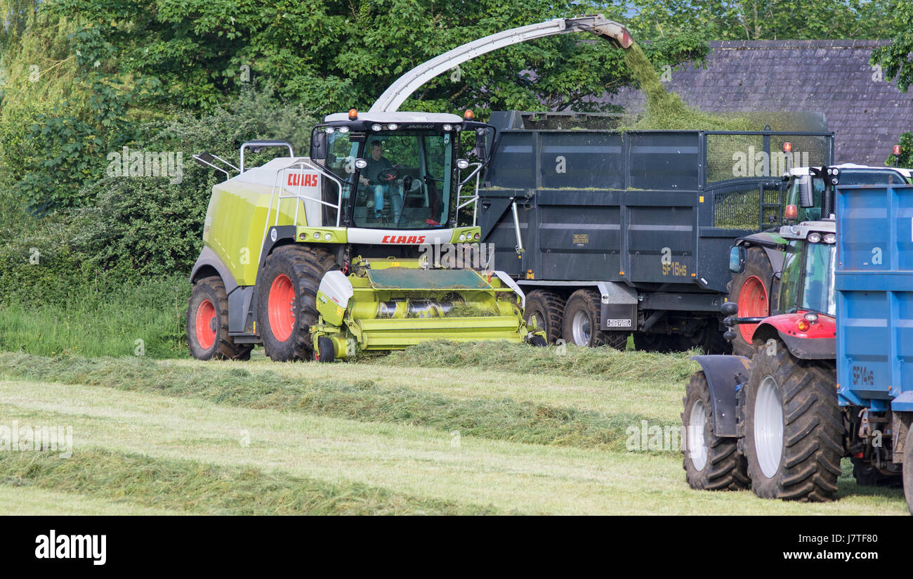 TOCKENHAM, UK - MAY 24, 2017: Claas Jaguar Forage harvester, picking up ...