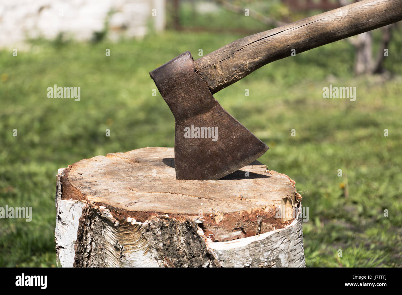 Old axe in tree stump Stock Photo - Alamy