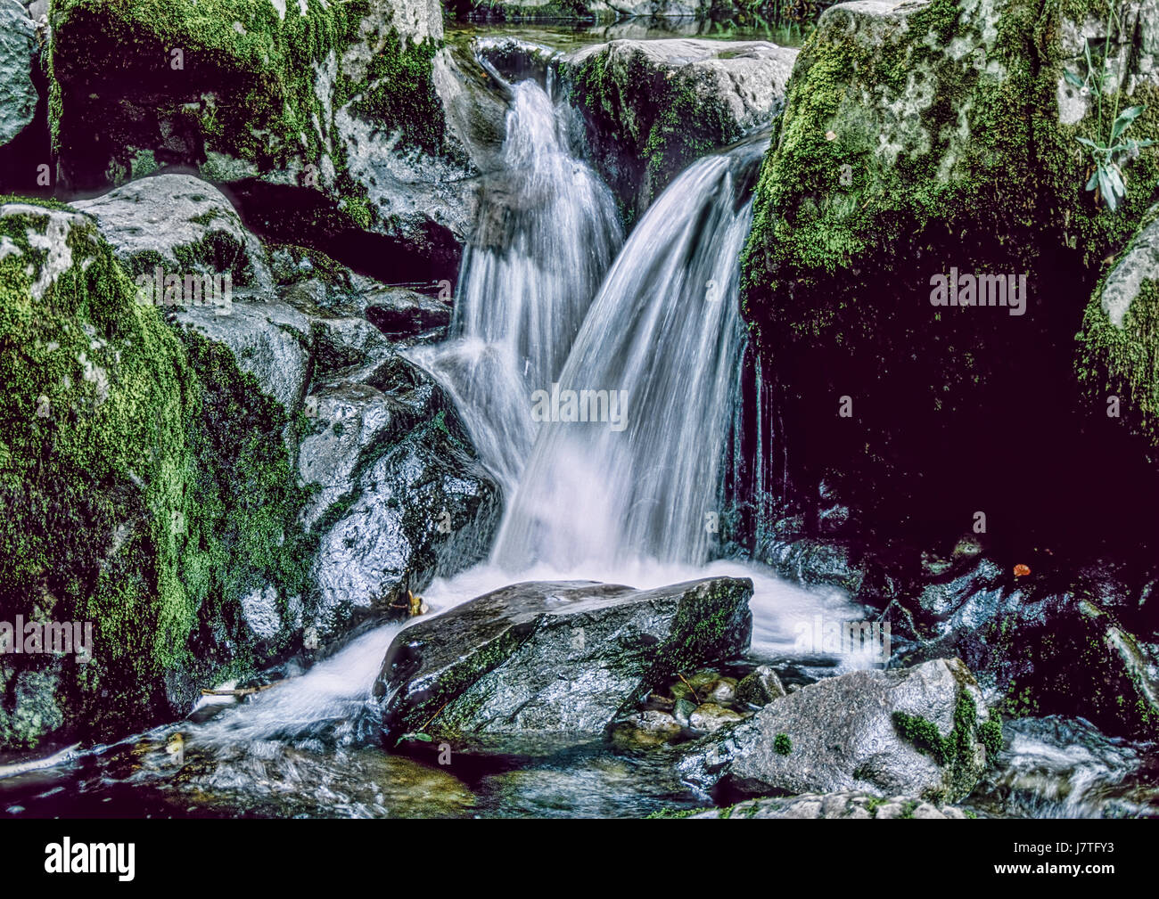 Pictorial art hi-res stock photography and images - Alamy