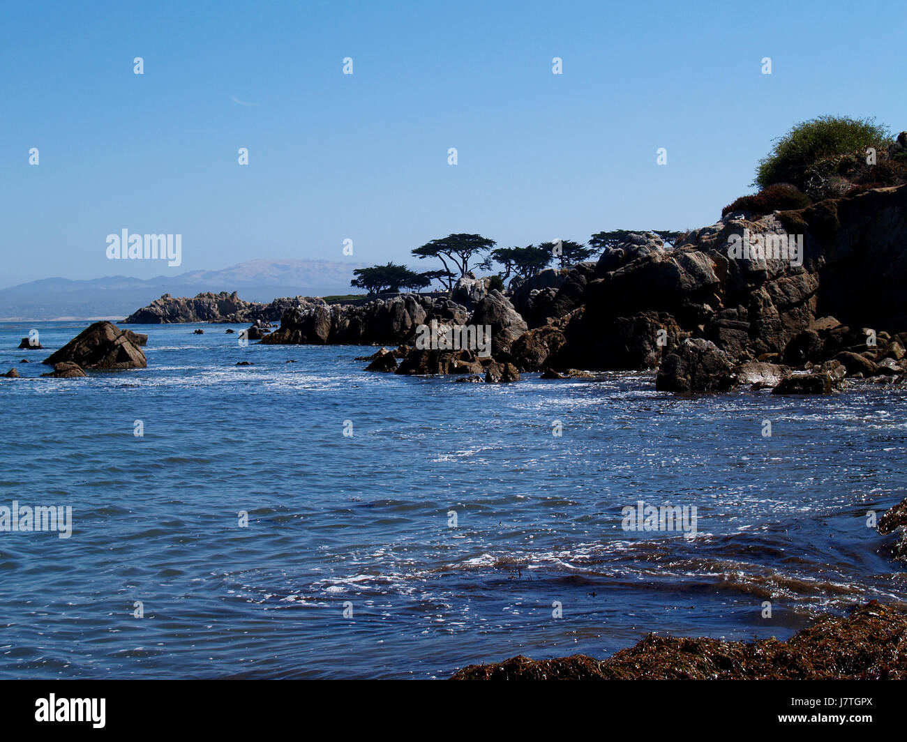 beach seaside the beach seashore california coast pacific salt water ...