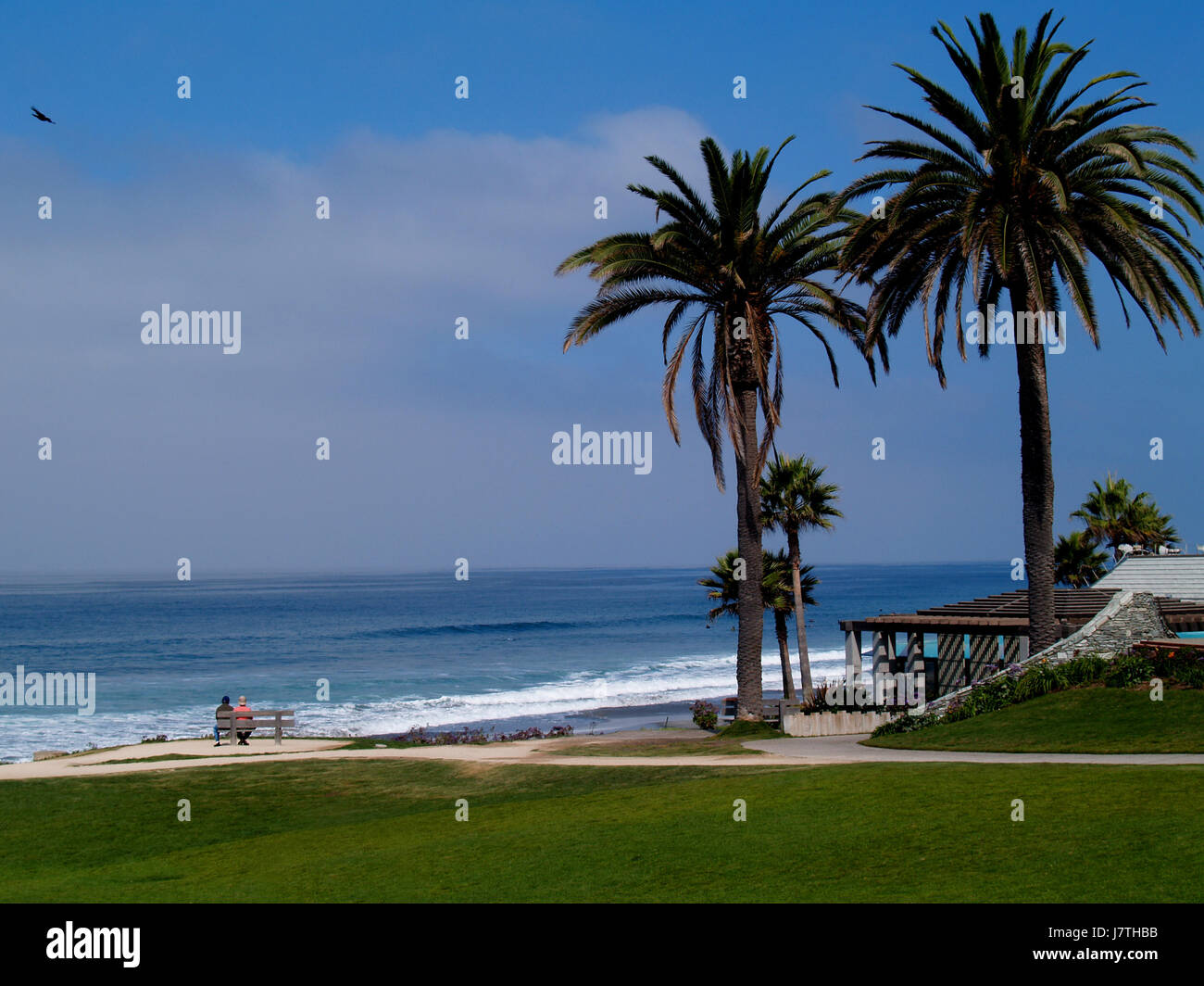 humans human beings people folk persons human human being tree trees ...