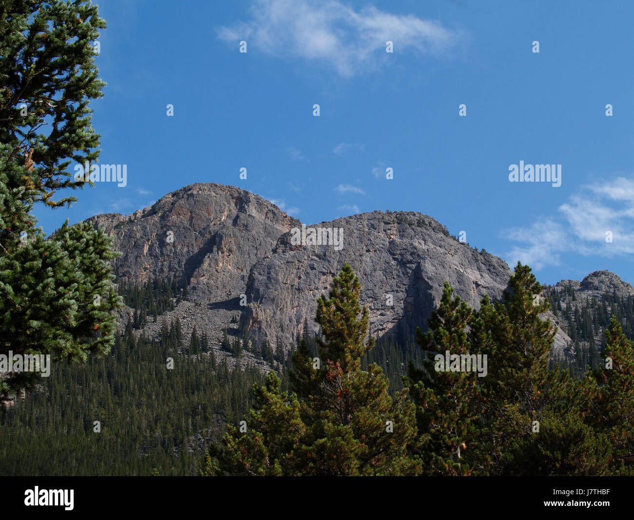tip peak conifers landscape scenery countryside nature mountain forest ...