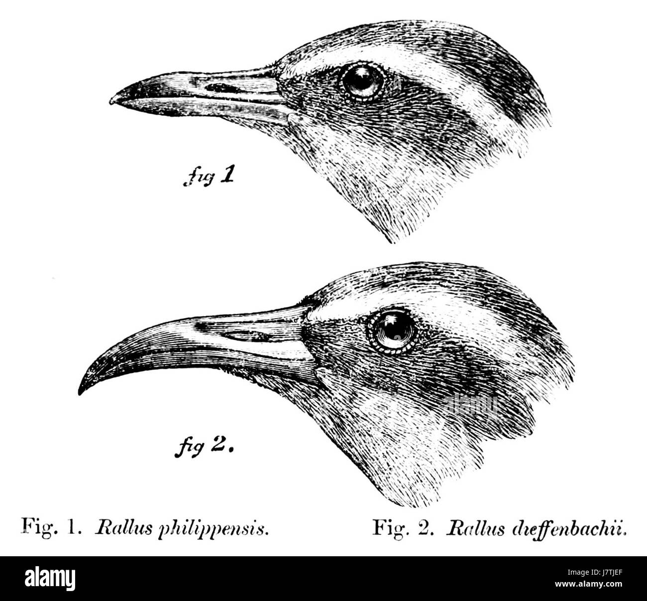 This title appears to refer to a code or identifier. The meaning and context are unclear, and no ...