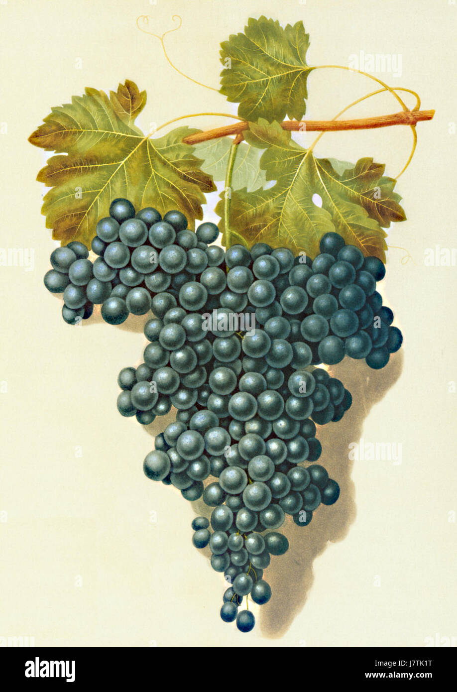 Britannica map hi-res stock photography and images - Alamy