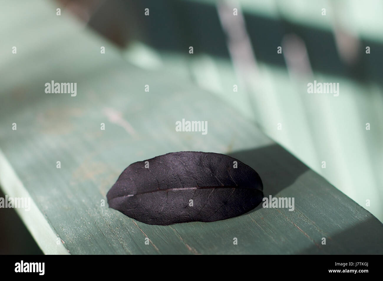 Lipless hi-res stock photography and images - Alamy