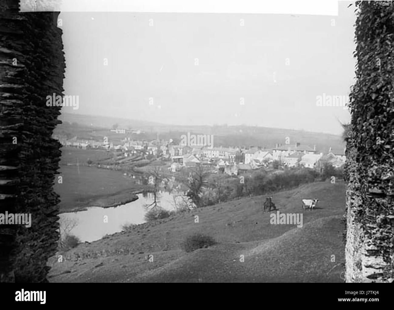 Emlyn photo hi-res stock photography and images - Alamy