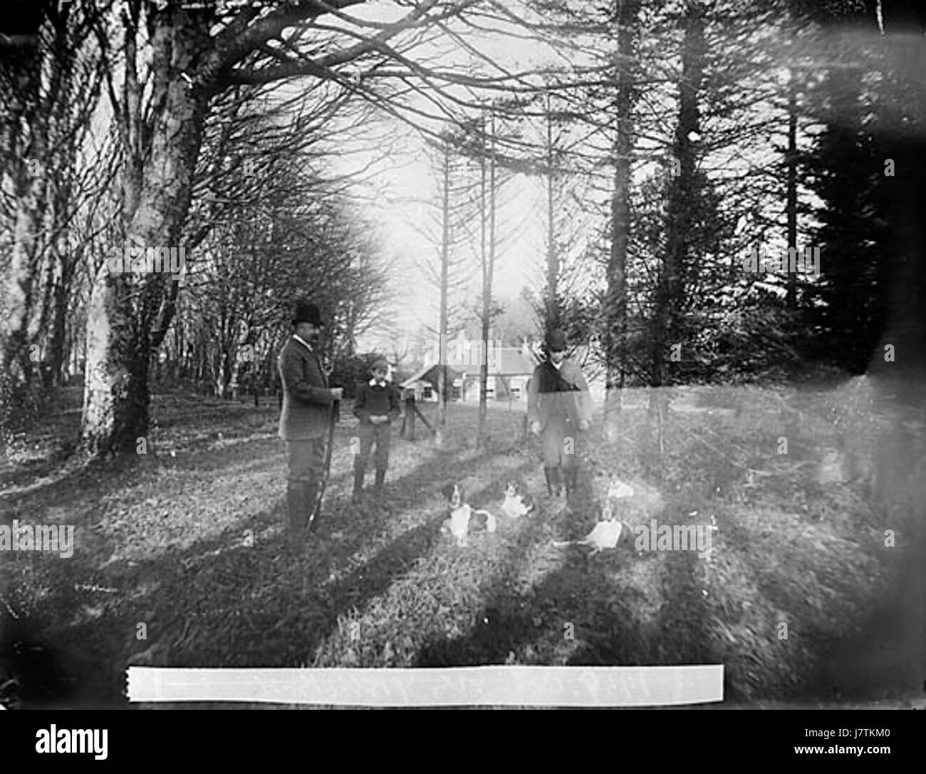 This image portrays Colonel Grey with his dogs, capturing the bond ...