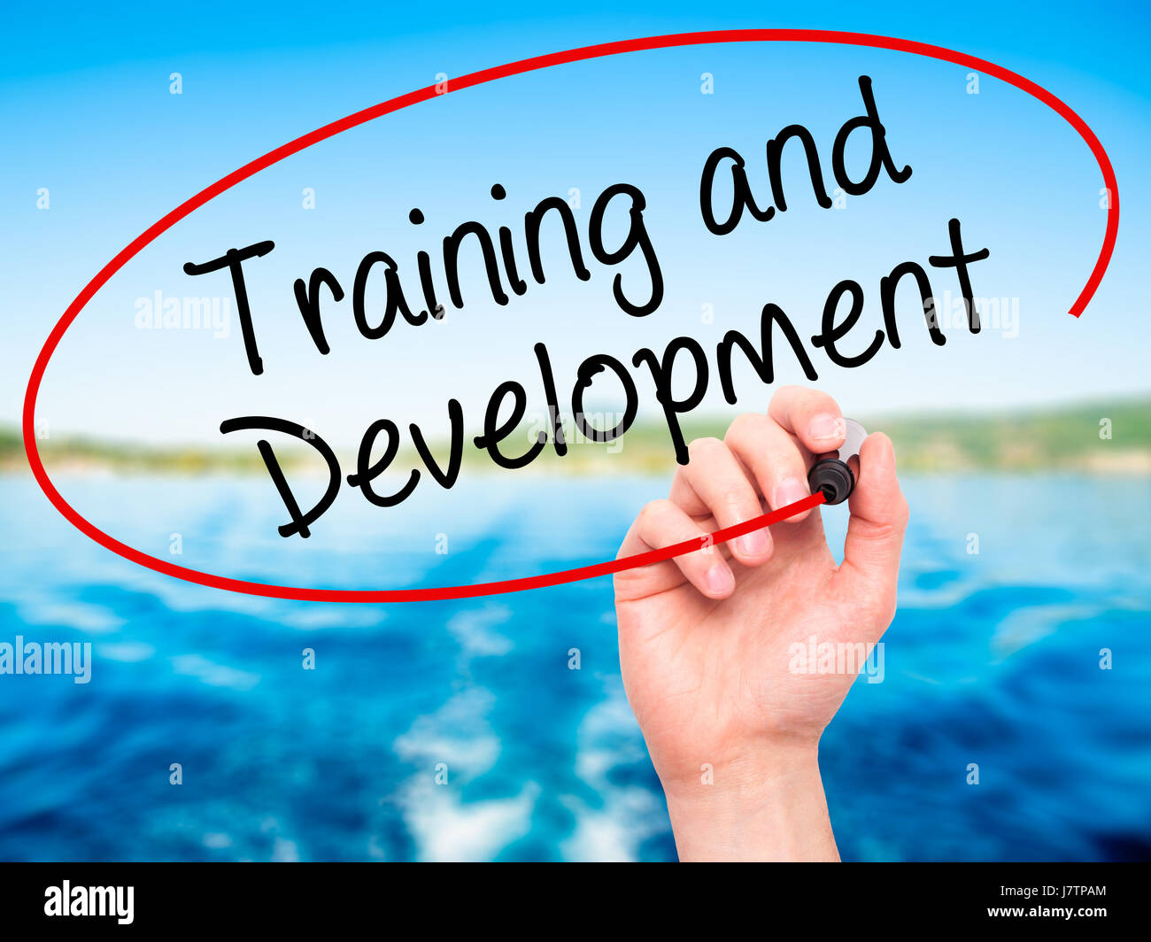 Man Hand writing Training and Development with black marker on visual ...