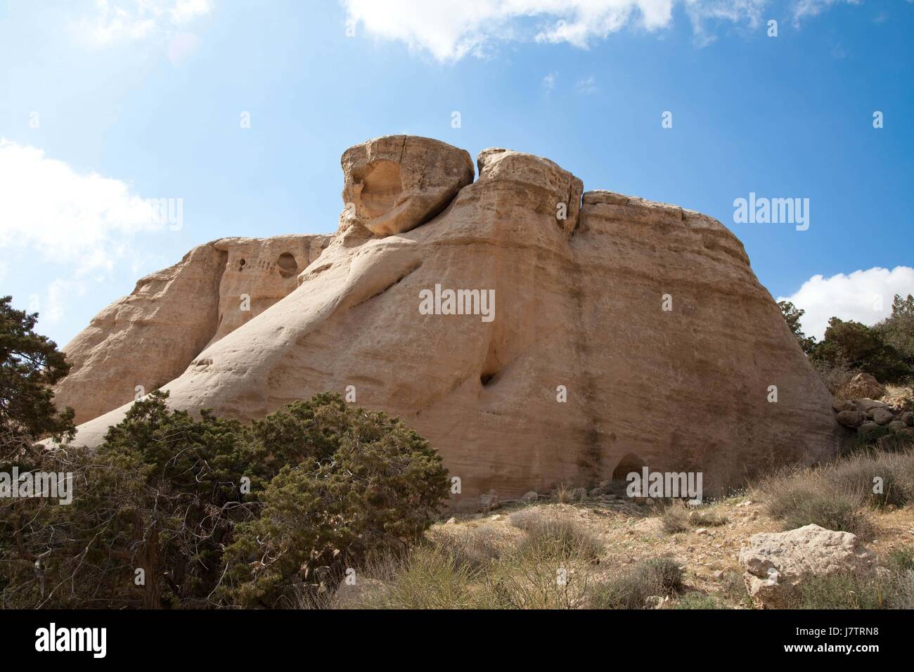 Mujib biosphere reserve hi-res stock photography and images - Alamy
