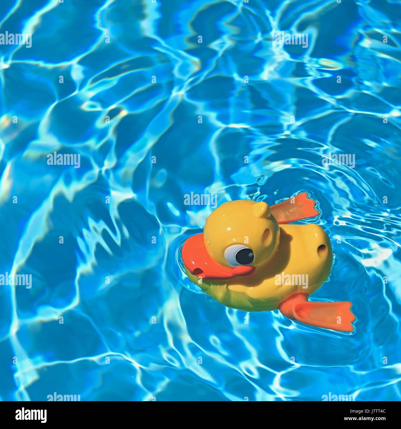 Plastic ducks in swimming pool hi-res stock photography and images - Alamy