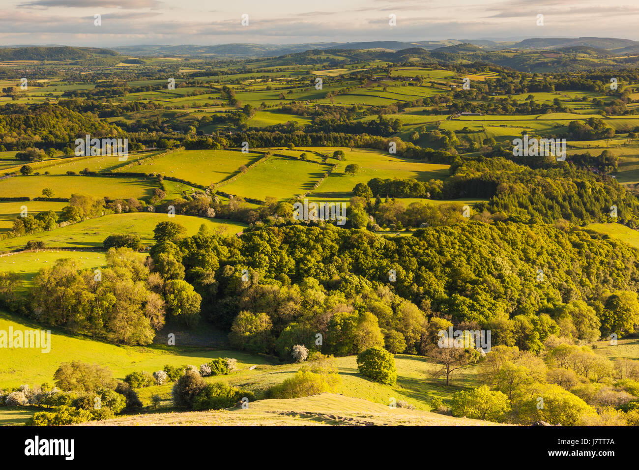 Evening sunlight falling across the South Shropshire hills, seen from ...