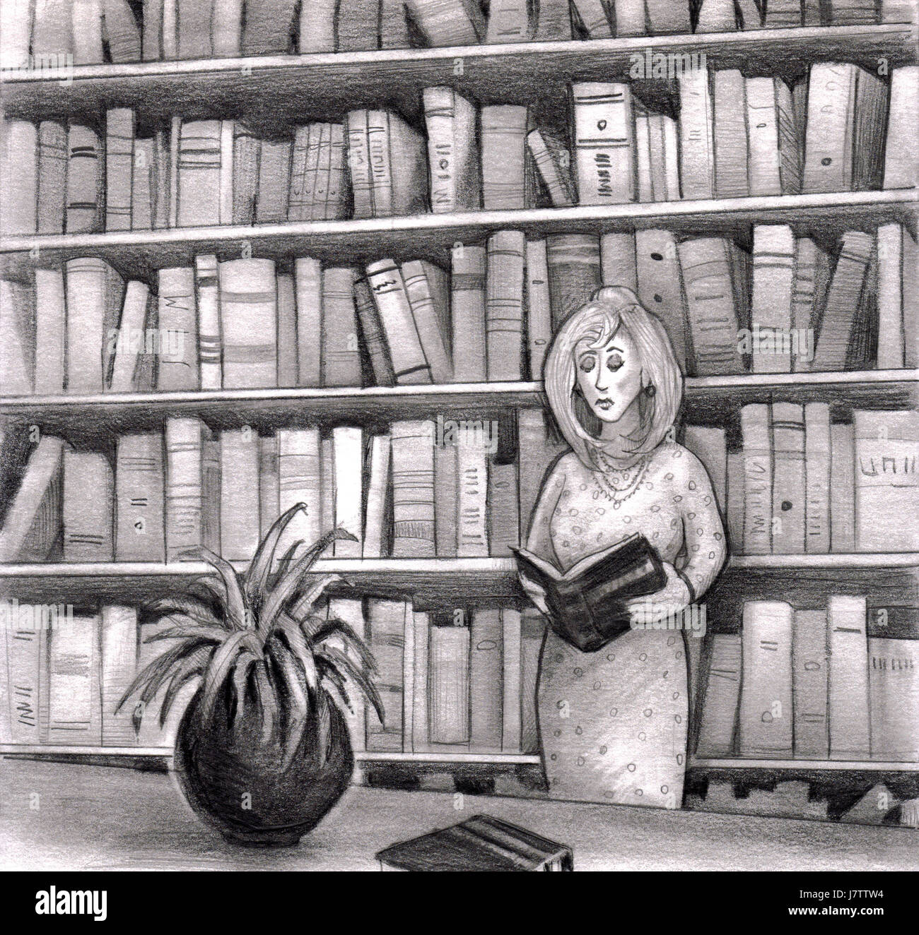 woman books library reading shelves read learning book woman study ...