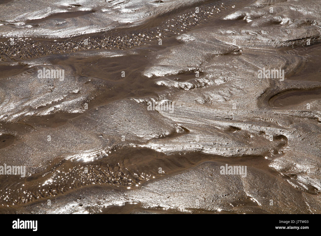 beach seaside the beach seashore mirroring counter-light dunes sandy ...