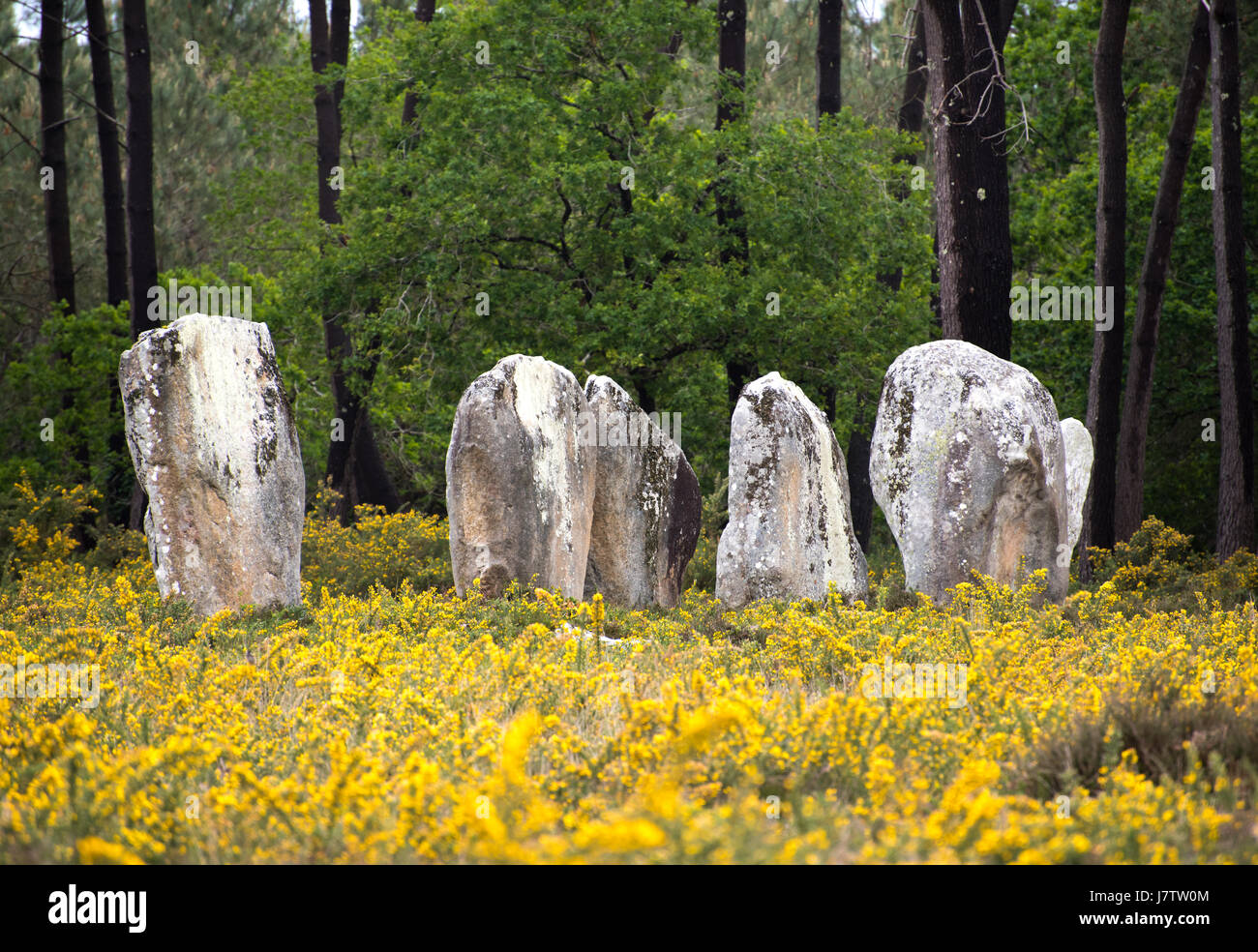 Some shots of Alignements de Kerlescan alignments standing stones ...