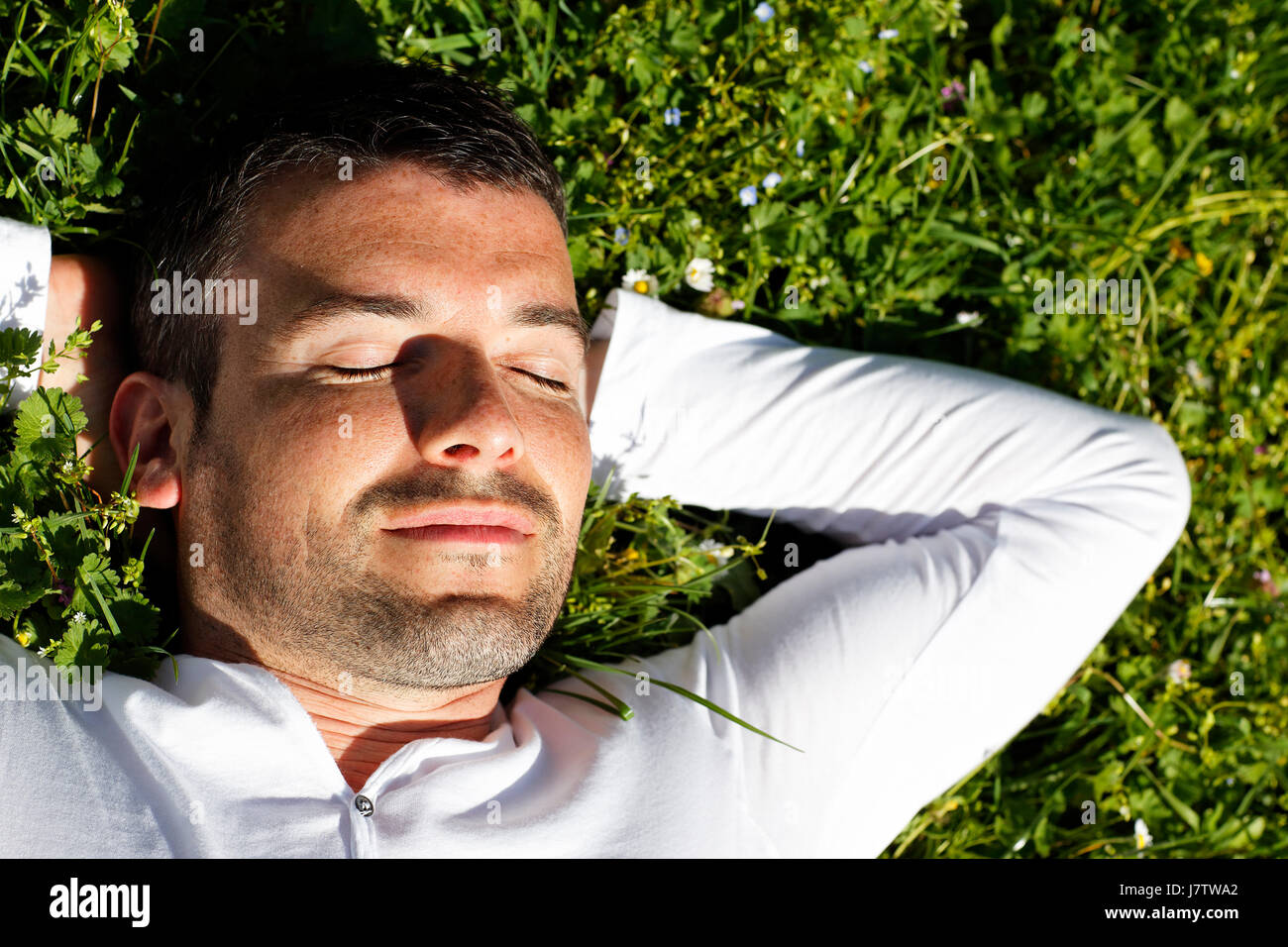 blank european caucasian sleep sleeping outdoor meadow grass lawn green ...